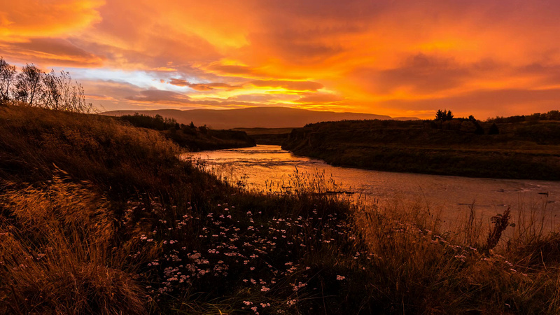 DF Photo Gallery | Video