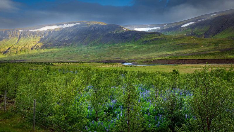 DF Photo Gallery | Video